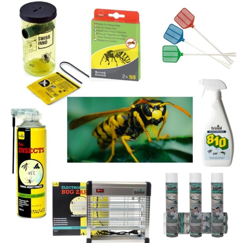 Bekæmpelse af hvepse og hvepsebo | Swissinno og Trinol