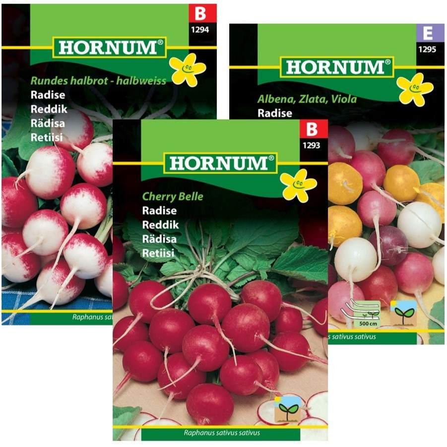 Radiser | Frø til Køkkenhaven